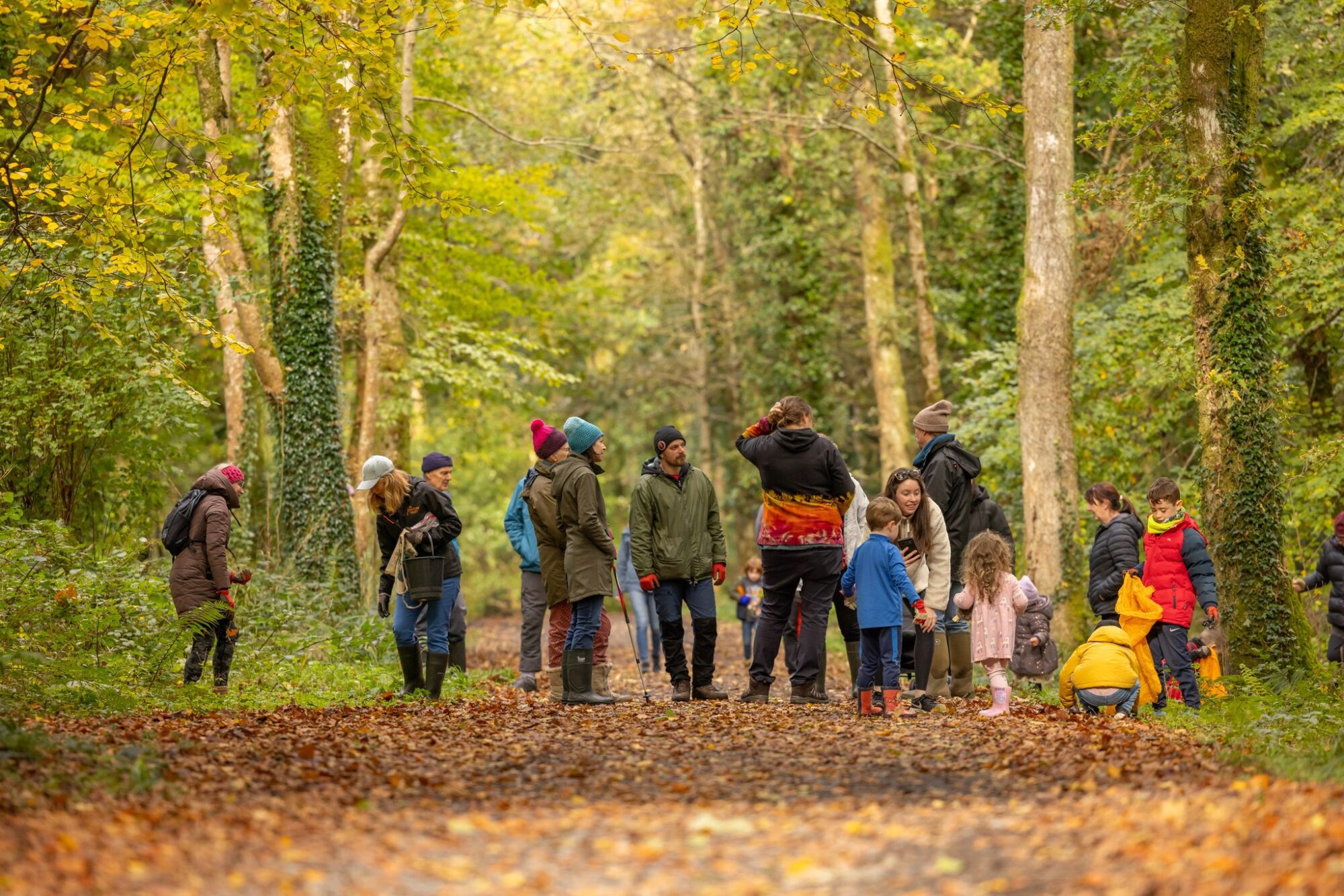 Acorn Gathering 2024: Join Us to Gather Acorns and Nurture our Native ...
